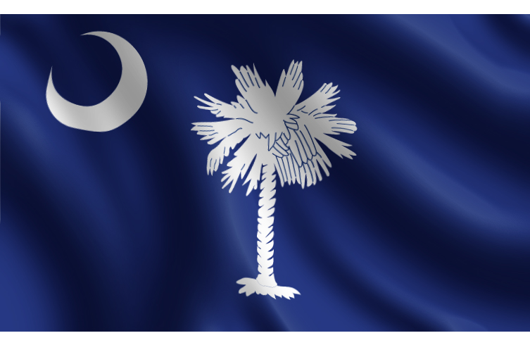 Belson | CloserLook | South Carolina State Flag | The Palmetto State Belson | CloserLook | South Carolina State Flag | The Palmetto State