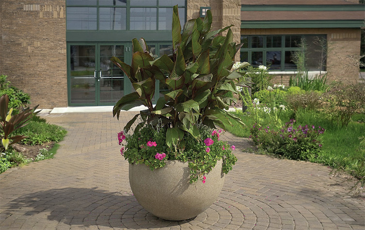 Belson | Gallery | TF4352 | 36