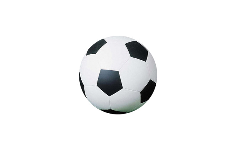 Belson | Gallery | TF6212 | Soccer Ball Bollards | Concrete Sports Bollards