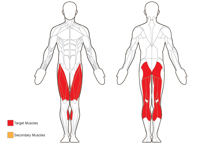 Belson | CloserLook | Front and Back Target Muscles