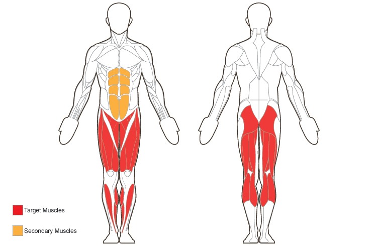 Muscles Targeted By Running
